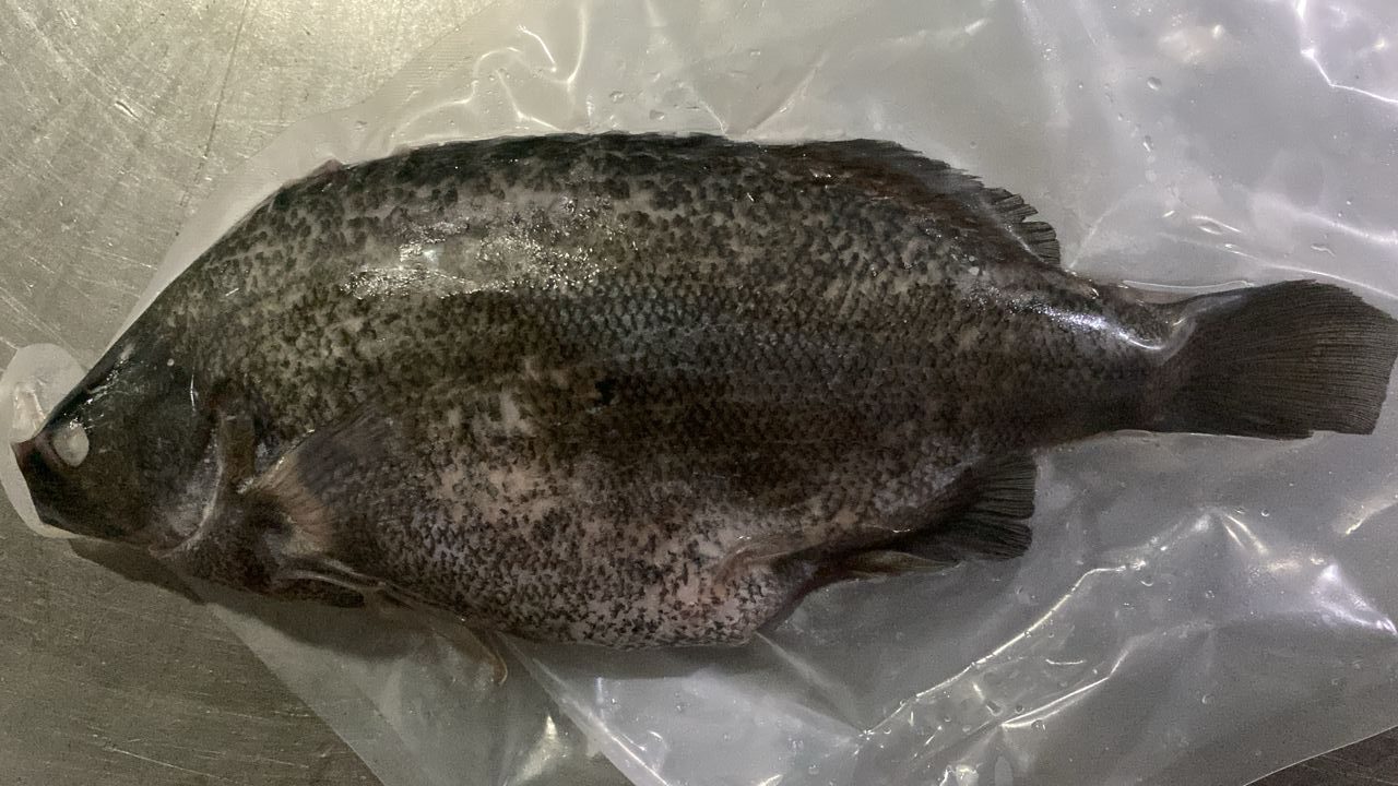 Jade Perch 翡翠鲈 – ifresh2u